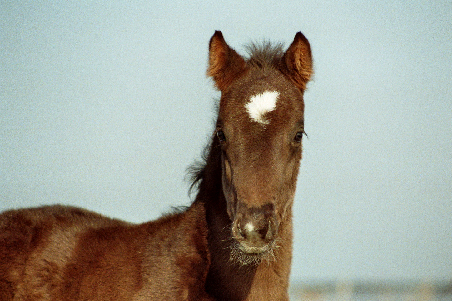 Rückblick: Happy Birthday - süßer Knirps Foto & Bild | tiere, haustiere ...