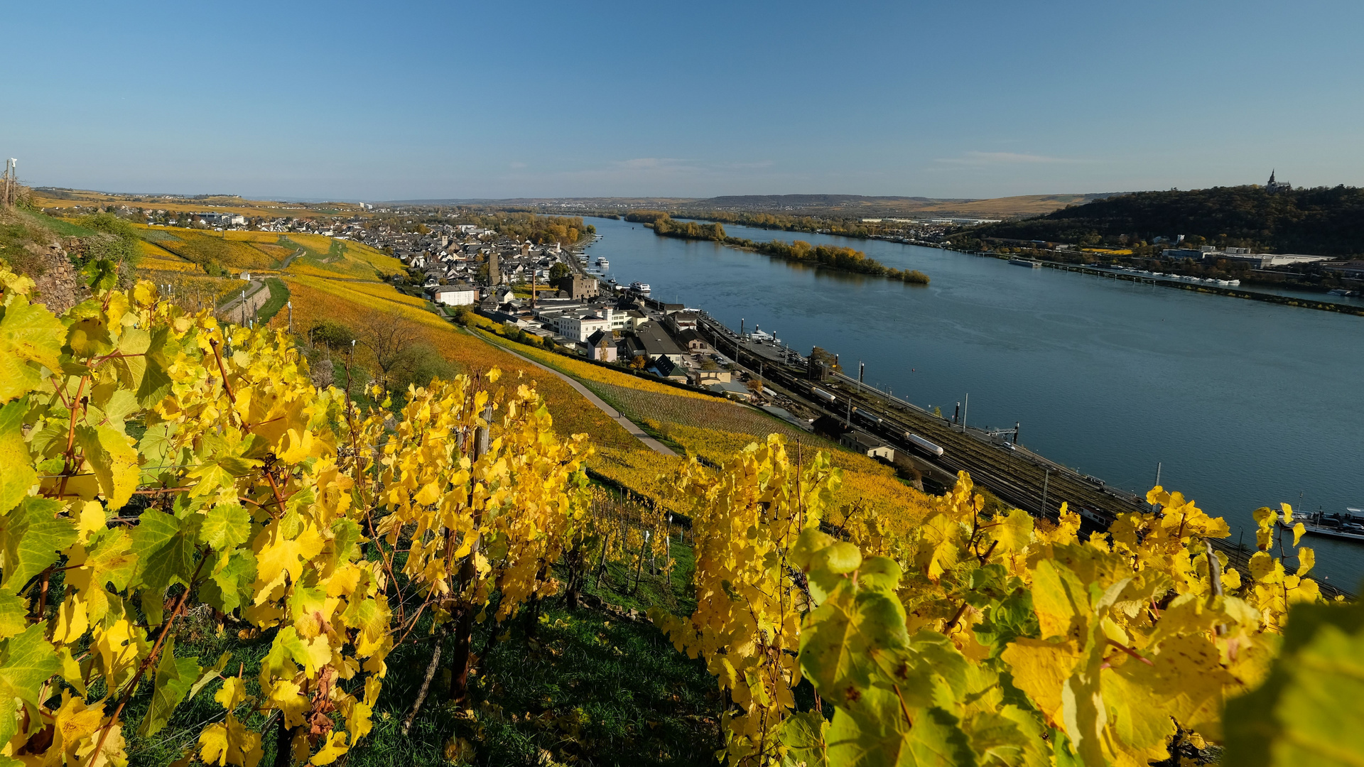 Rüdesheim Foto & Bild | fotos, natur, herbst Bilder auf fotocommunity