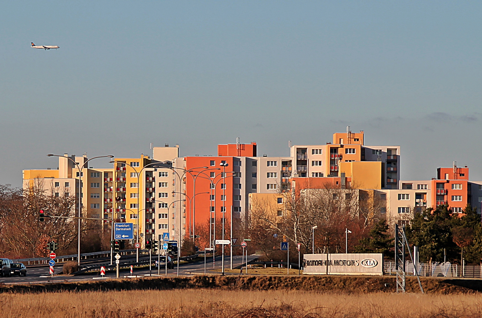 Rüsselsheim, Dicker Busch Foto & Bild | deutschland, europe, hessen ...