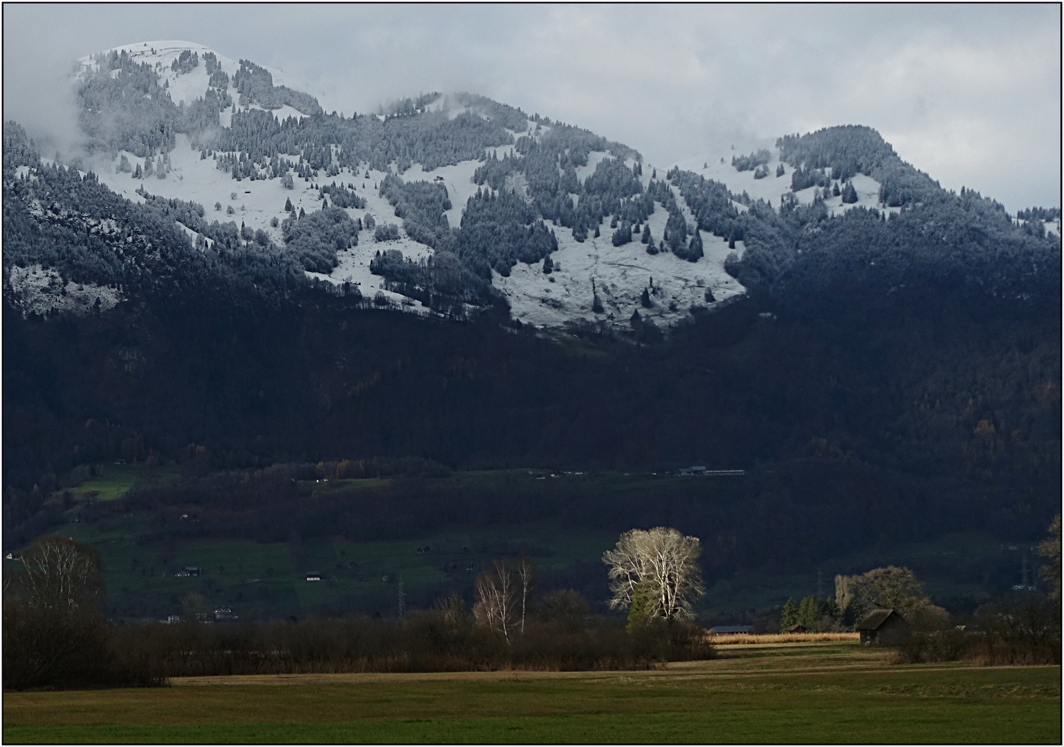 Ruggeller Riet Foto & Bild | europe, schweiz & liechtenstein ...