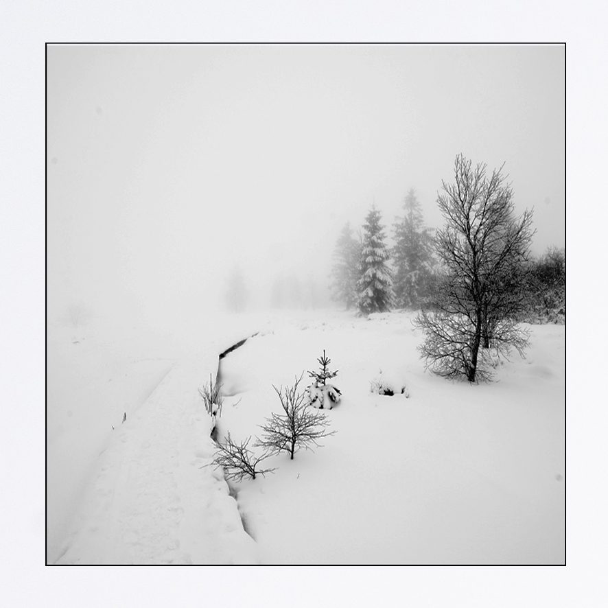 RUHE ... Foto & Bild | jahreszeiten, winter, ruhe Bilder auf fotocommunity