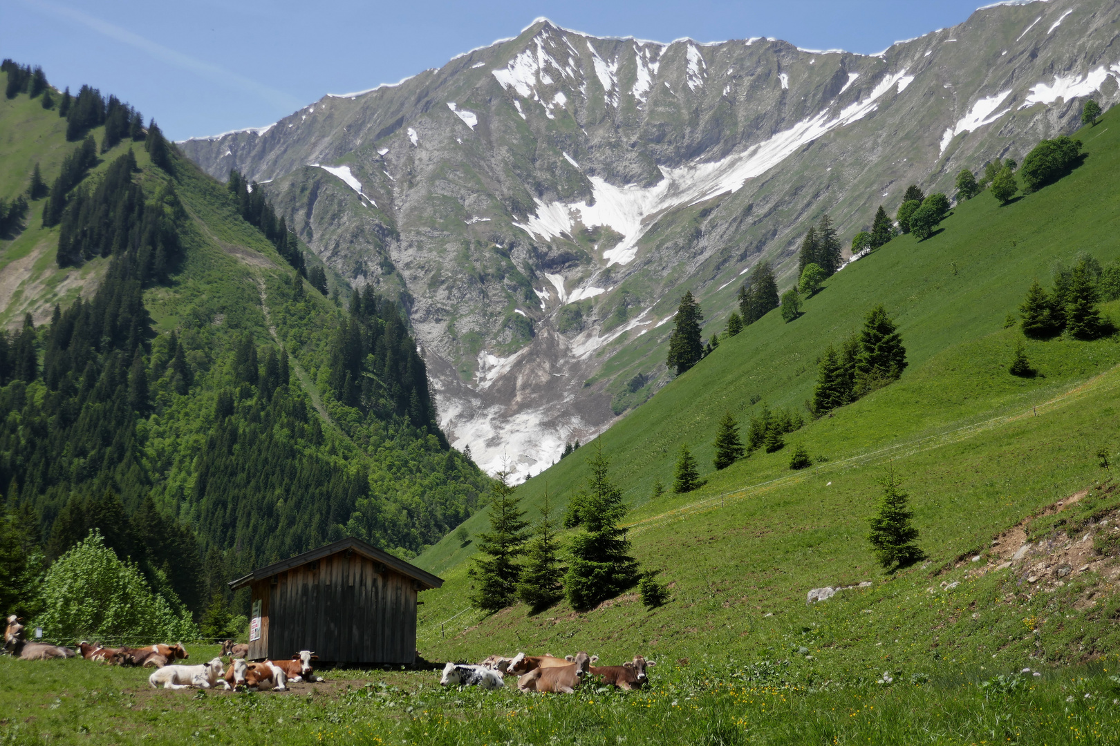 Ruhe Foto & Bild | europe, Österreich, landschaft Bilder auf fotocommunity