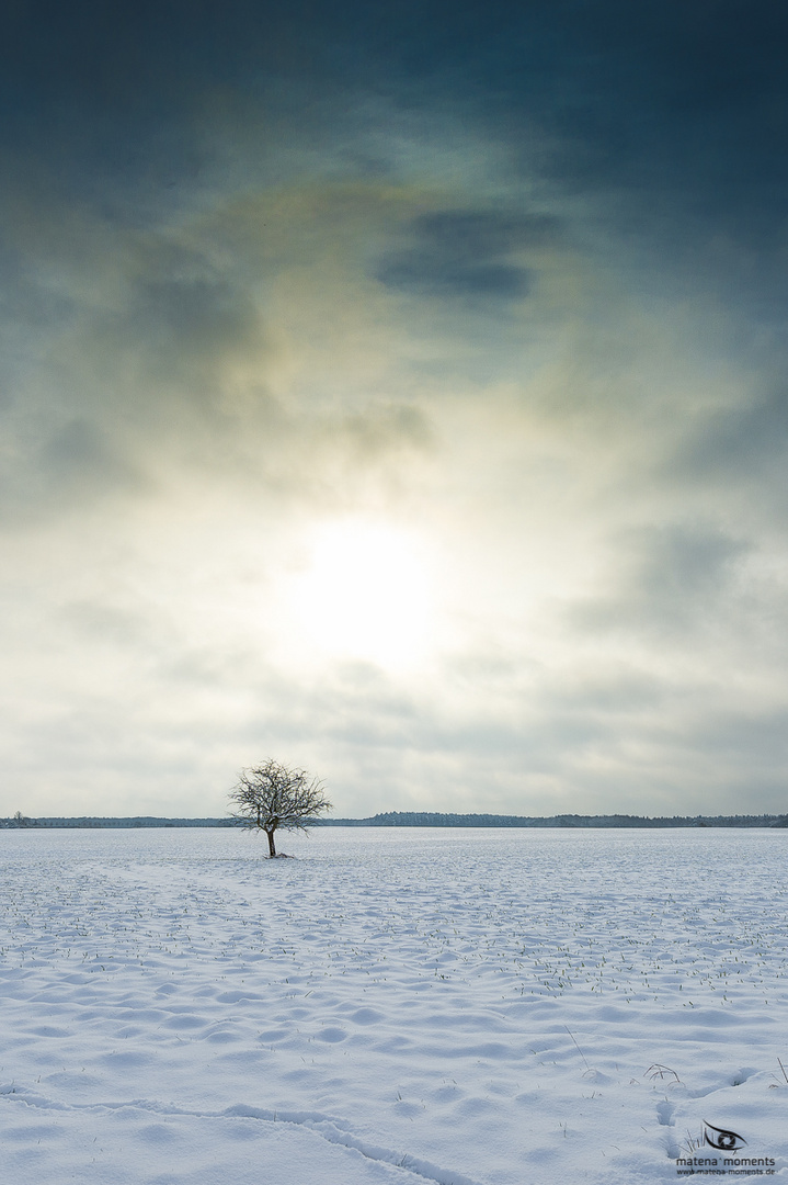 Ruhe Foto & Bild | landschaft, Äcker, felder & wiesen, feld Bilder auf ...