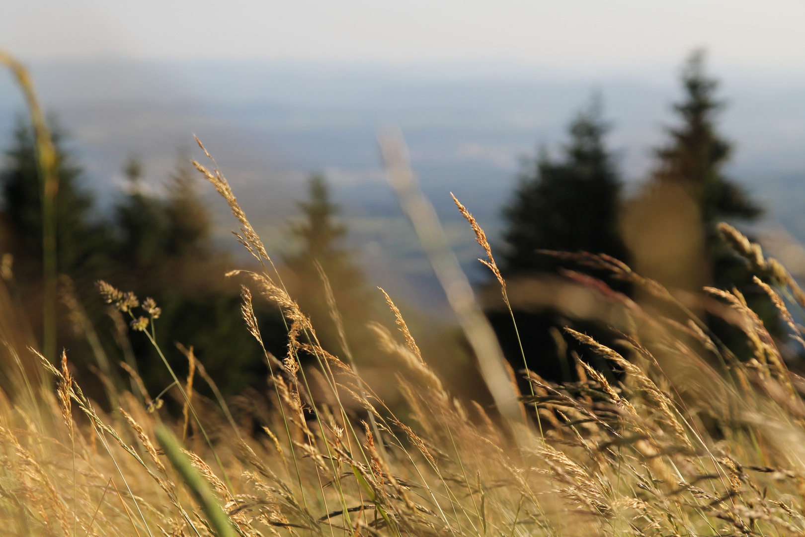 ruhe Foto & Bild | landschaft, natur Bilder auf fotocommunity