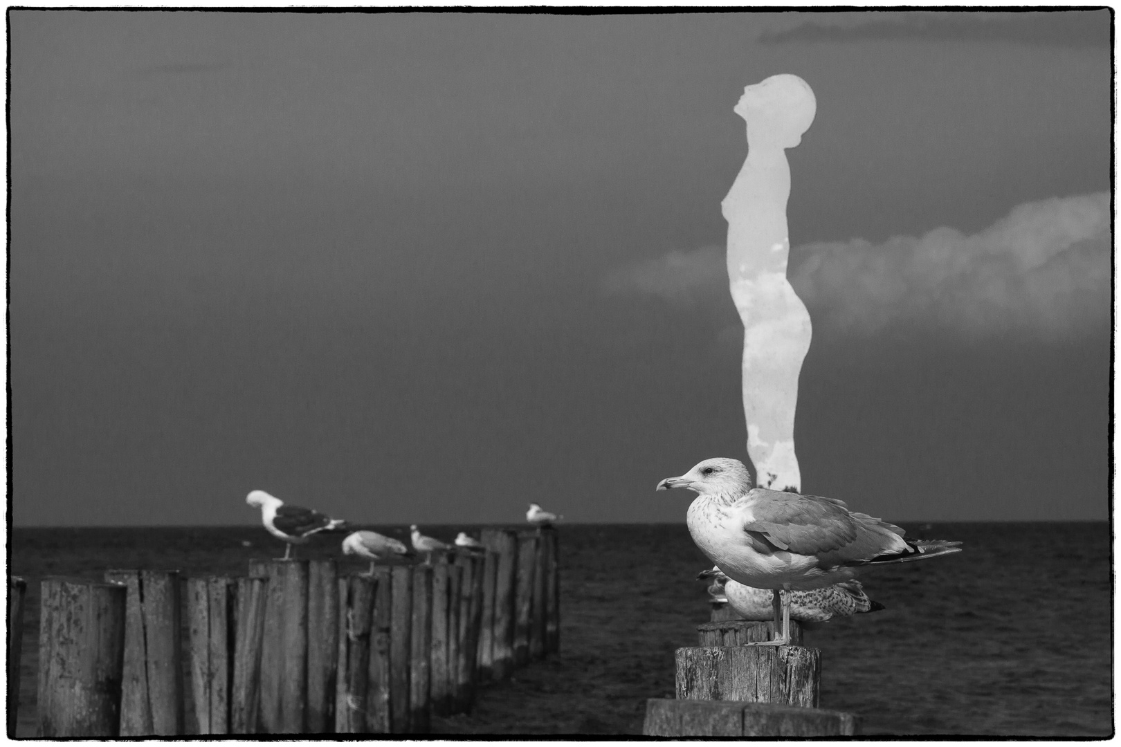 Ruhe atmen Foto & Bild | world, spezial, meer Bilder auf fotocommunity