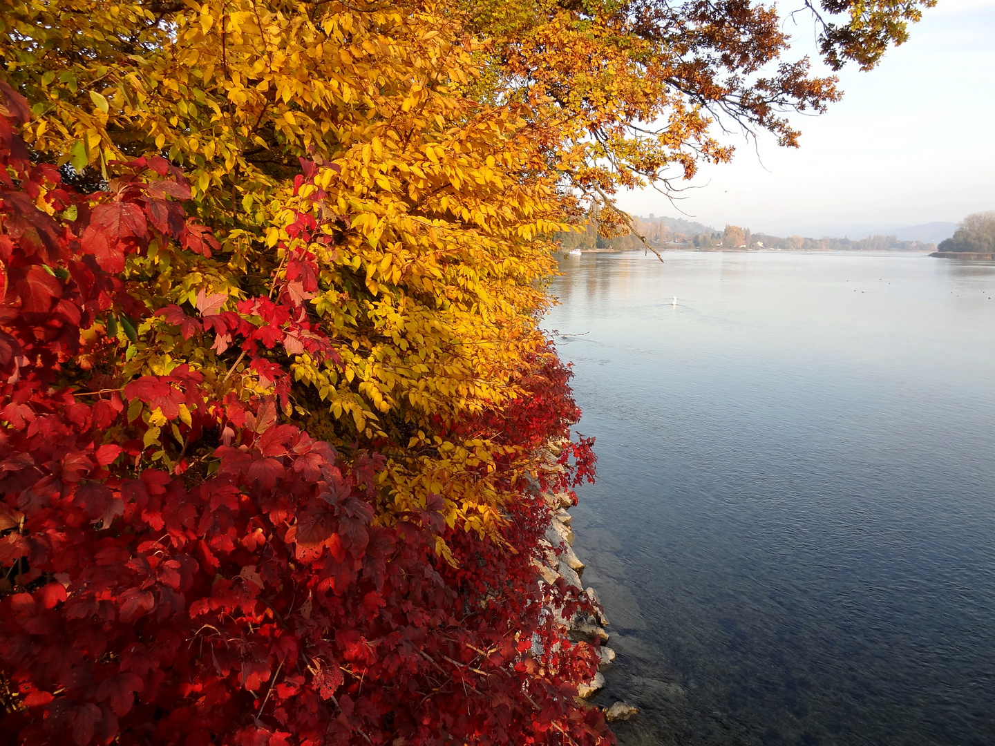 Ruhe... Foto & Bild | jahreszeiten, herbst, natur Bilder auf fotocommunity