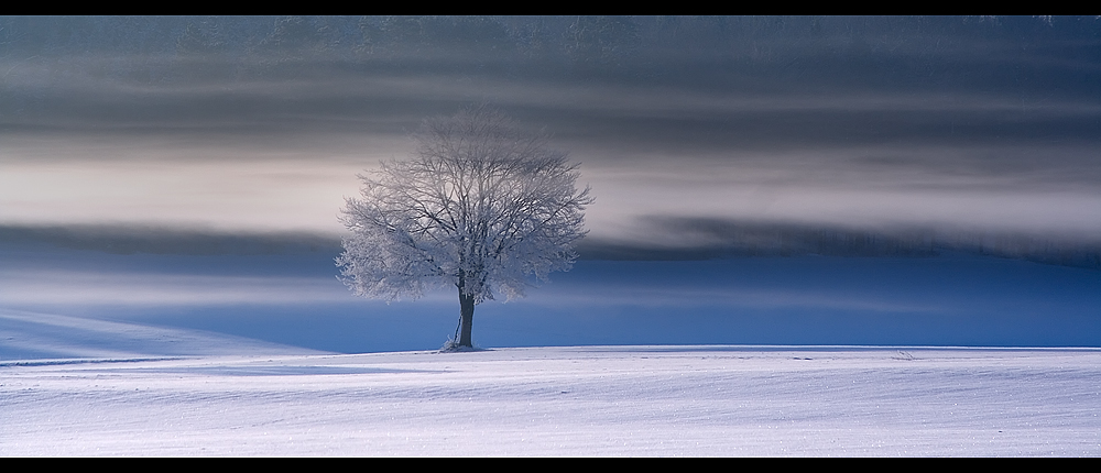 Ruhe Foto & Bild | natur, eiszeit Bilder auf fotocommunity