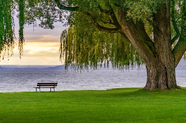Landschaft, Landschaftsbilder, Landschaftsfotografie