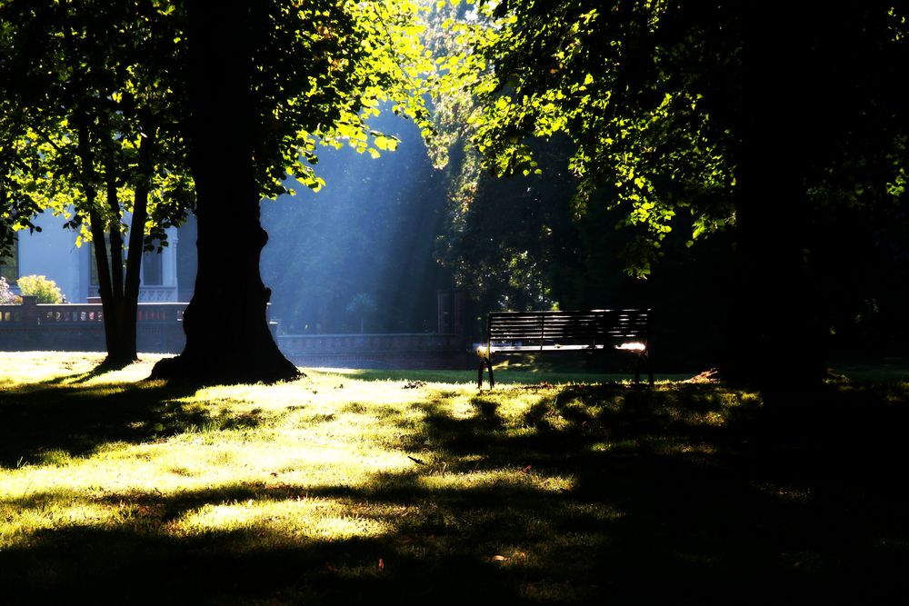 Ruhe & Gelassenheit Foto & Bild | stilleben und natur, natur ...