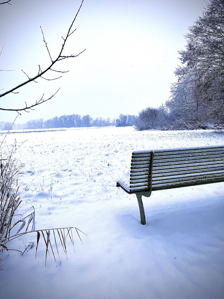 Ruhe genießen Foto & Bild | winter, natur, ruhe Bilder auf fotocommunity