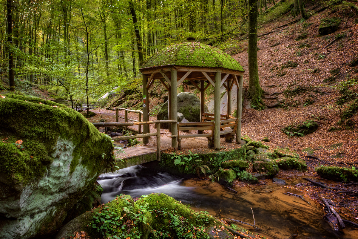 Ruhepause Foto & Bild | wald, wasser, natur Bilder auf fotocommunity