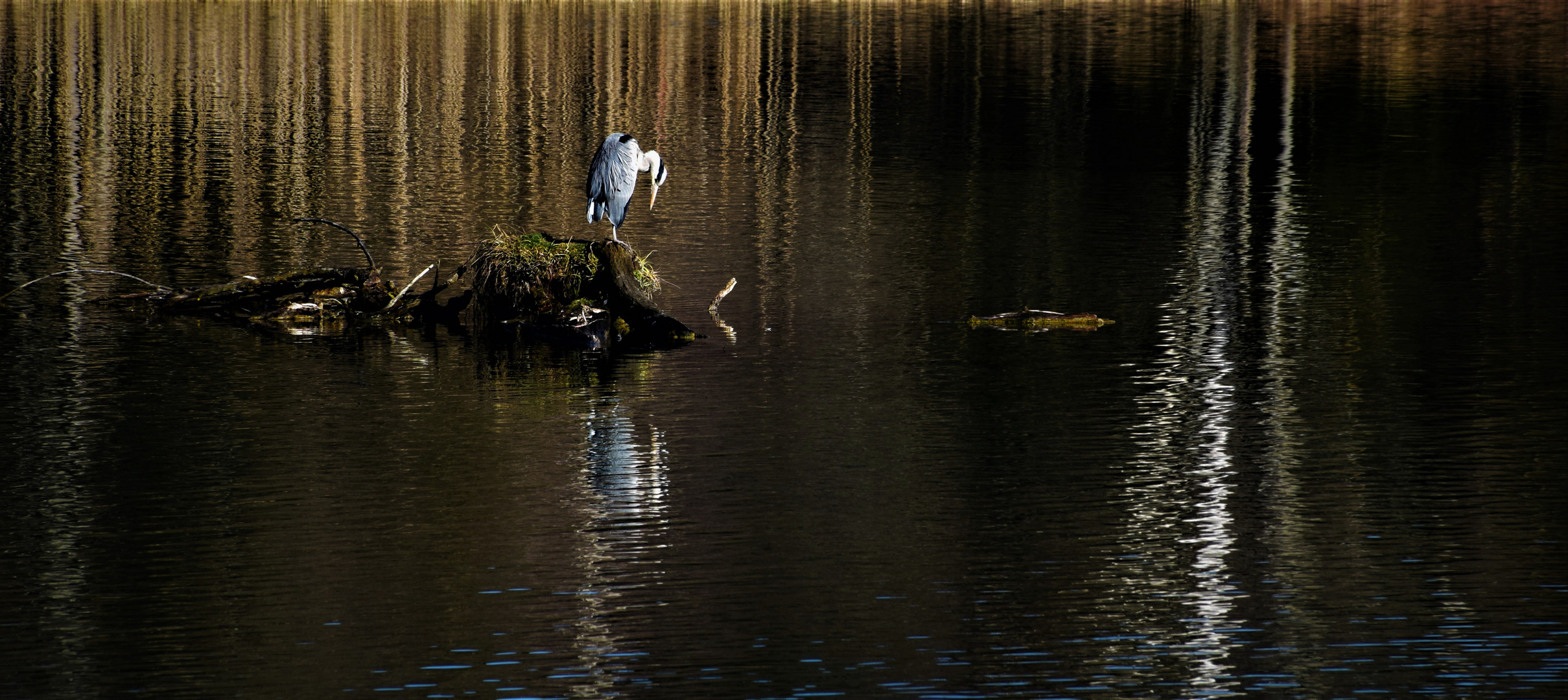 Ruhepol Foto & Bild | abstraktes, sonstiges, projekte Bilder auf ...