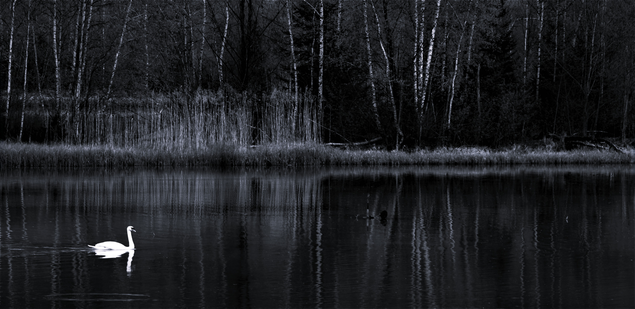 Ruhepol Foto & Bild | abstraktes, sonstiges, projekte Bilder auf ...