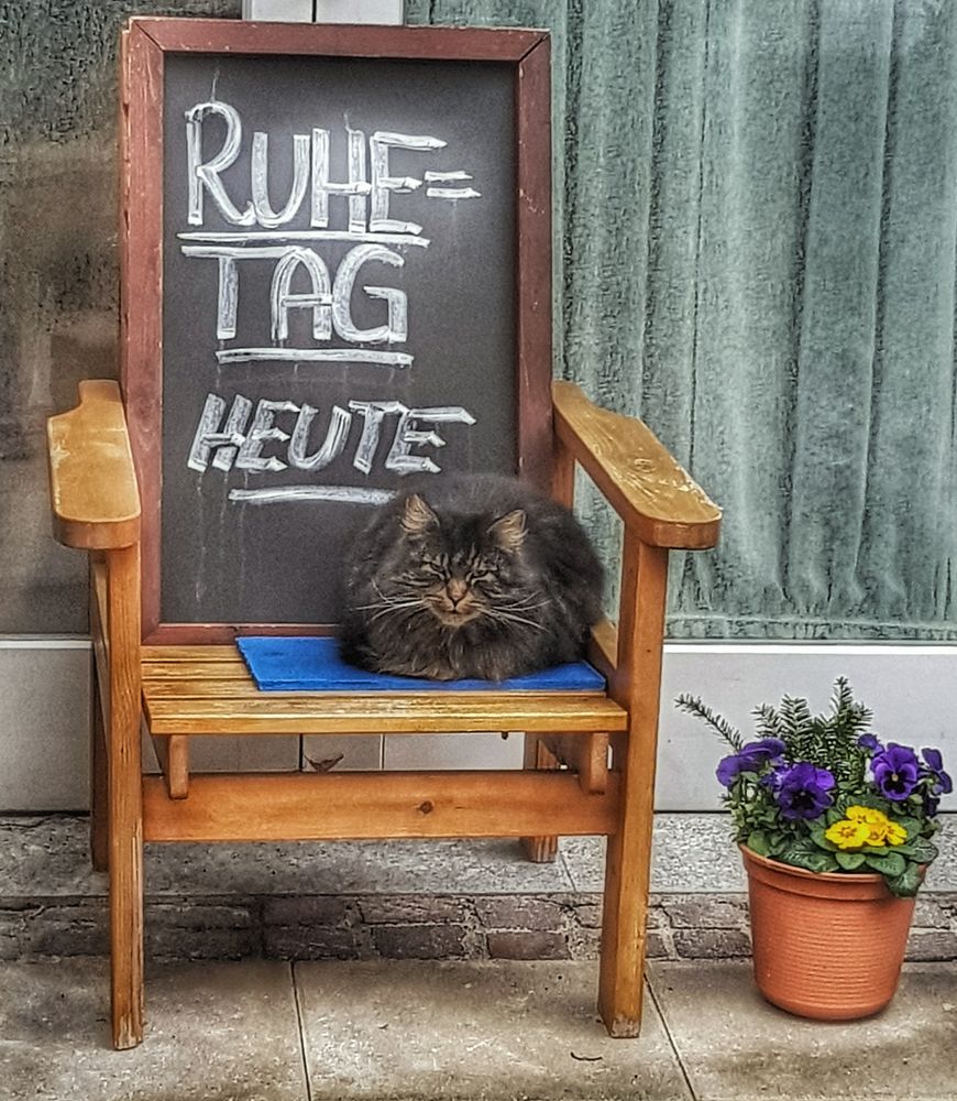 Ruhetag Foto & Bild | spezial, faul, katze Bilder auf fotocommunity