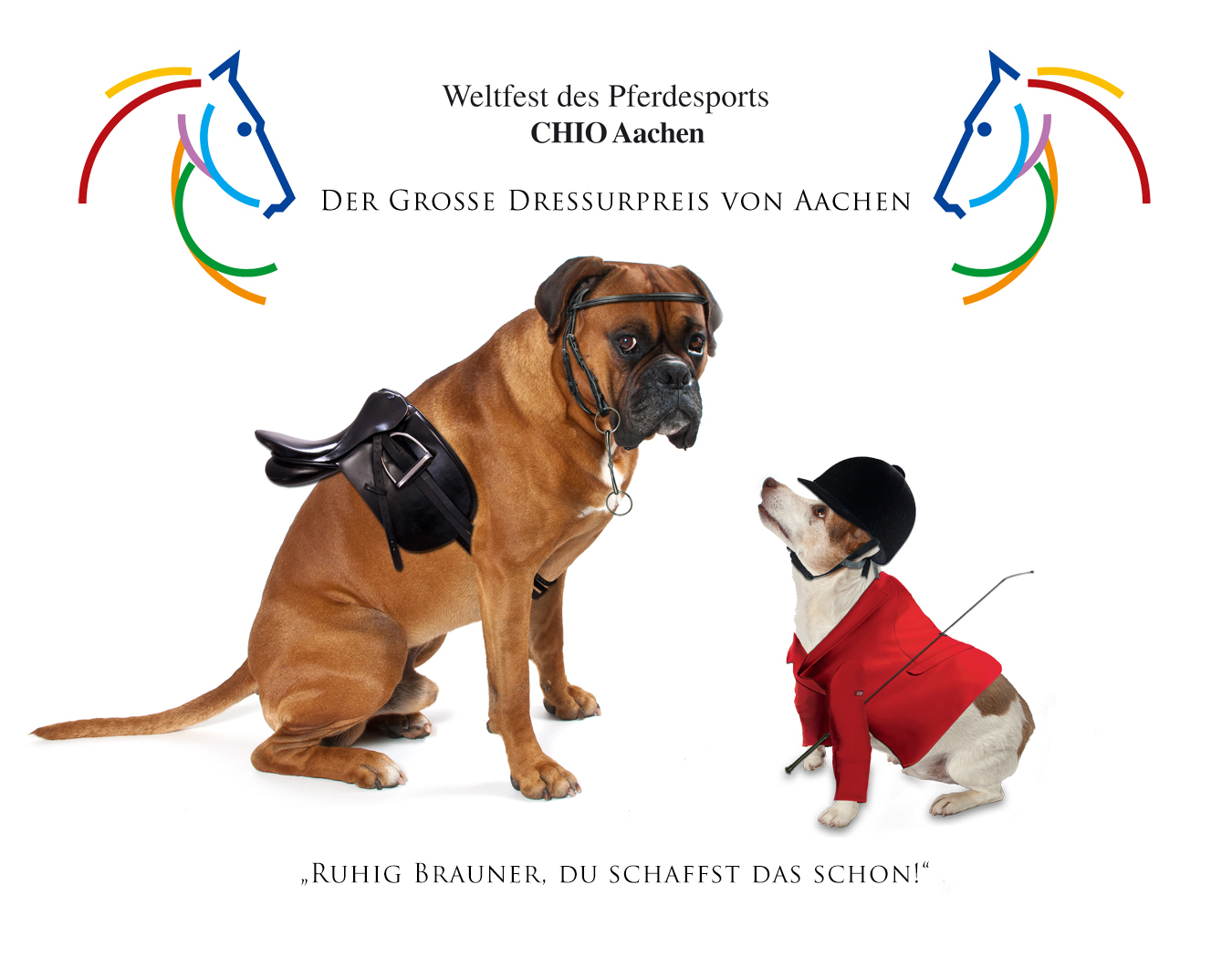 Ruhig Brauner Foto & Bild | fun-montagen, quatsch & fun, home Bilder ...