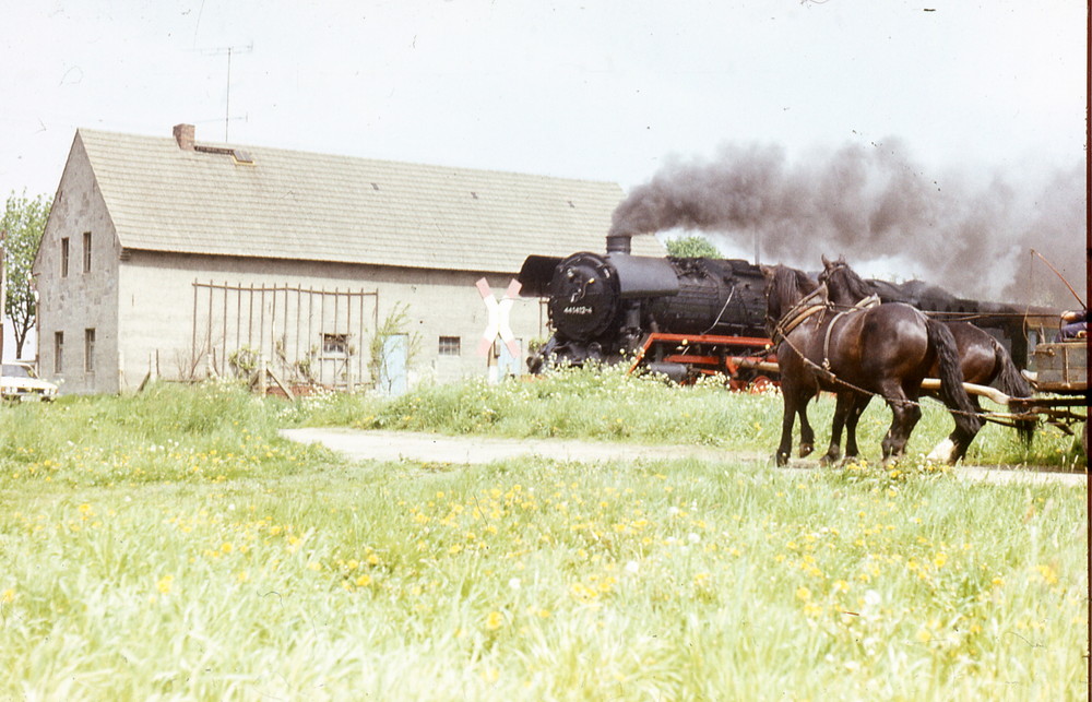 Ruhig Brauner! Foto & Bild | historische eisenbahnen, dr (ddr) 1949 ...