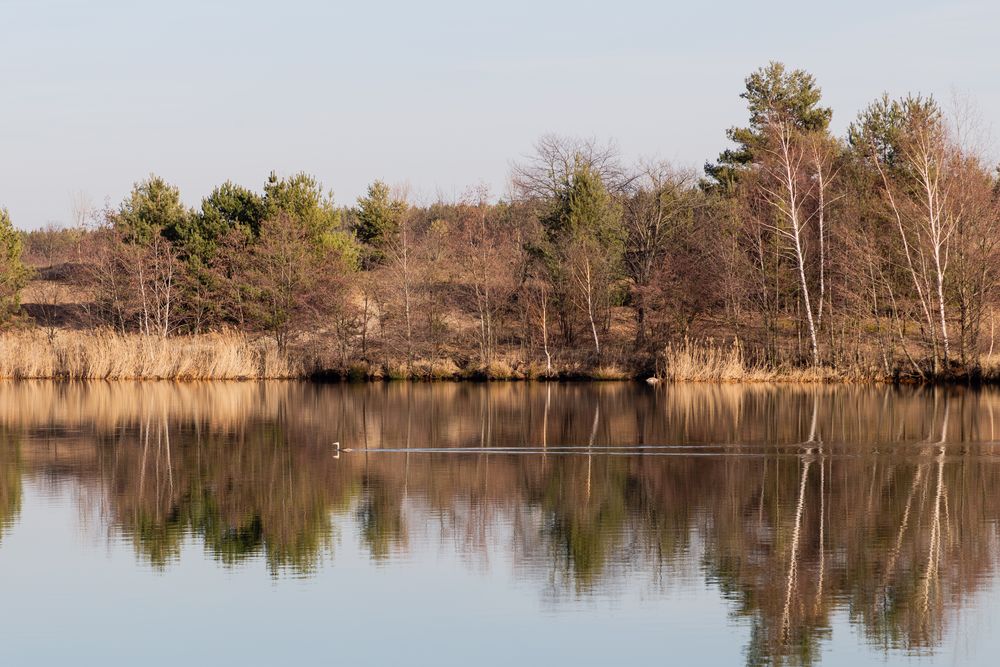 Ruhiger Nachmittag Foto & Bild | deutschland, europe, sachsen- anhalt ...