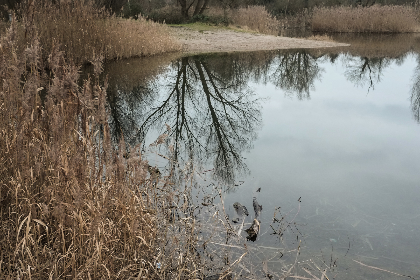 Ruhiger Tag Foto & Bild | outdoor, winter, natur Bilder auf fotocommunity