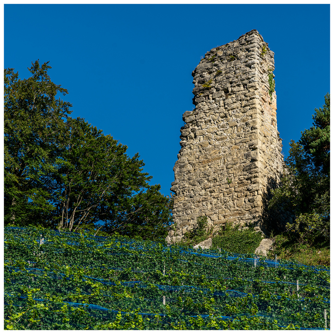Ruine Grimmenstein Foto & Bild | architektur, schlösser & burgen ...