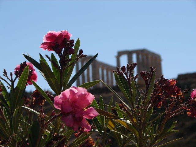 ruine rose photo et image | europe, greece, world Images fotocommunity