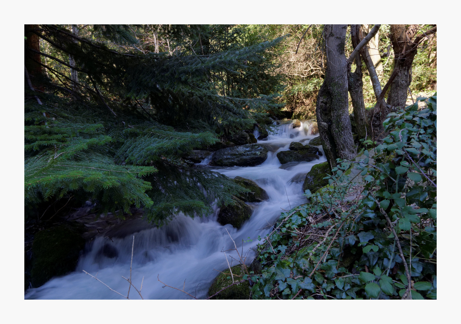 ruisseau de l'espinouse photo et image | nature, hérault, paysages ...