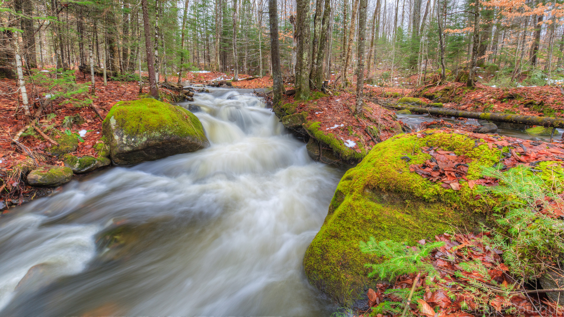 ruisseau en cru photo et image | divers, la nature simplement, ruisseau ...