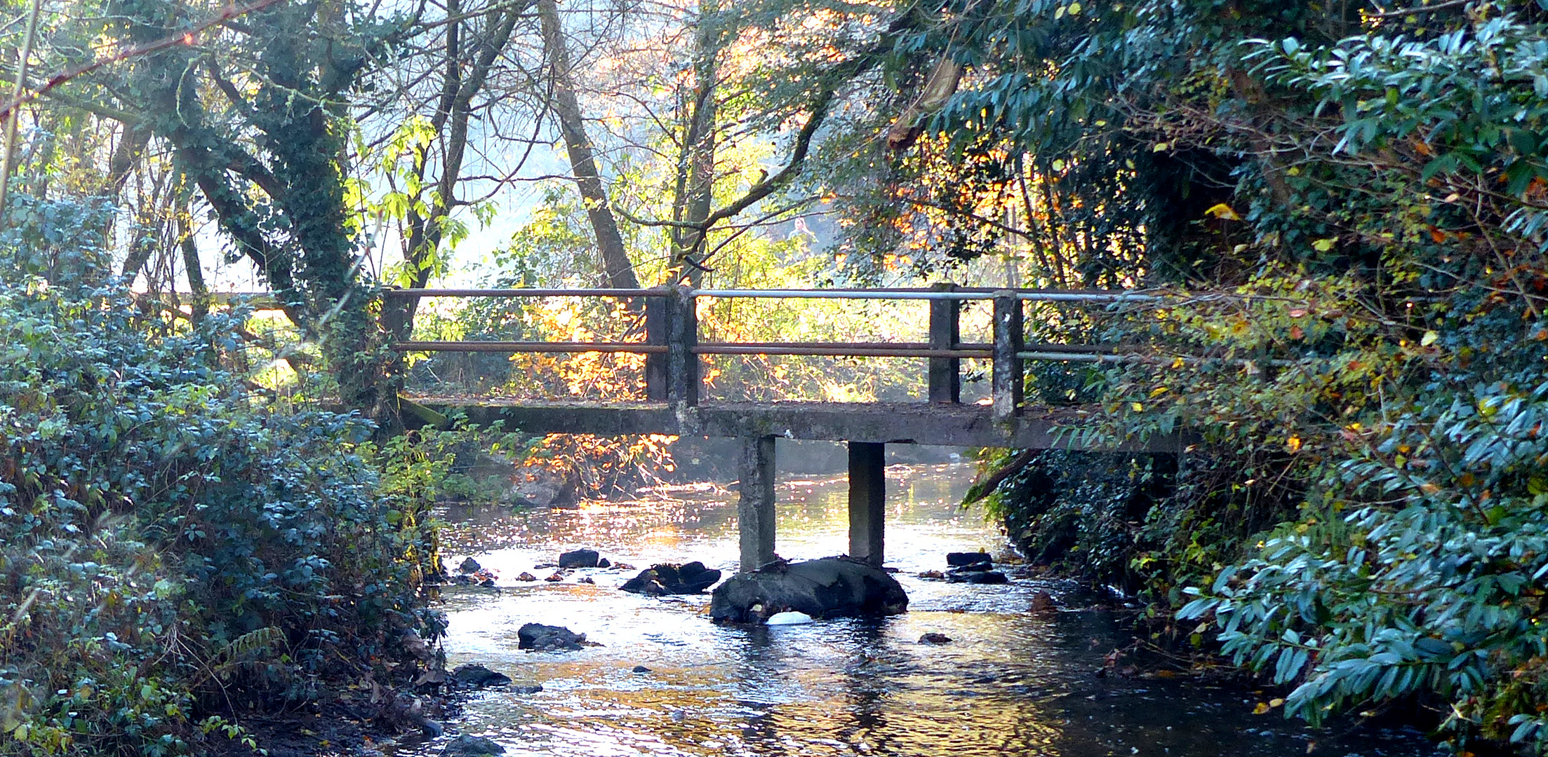 Ruisseau en sous-bois. photo et image | paysages, lacs, rivières ...