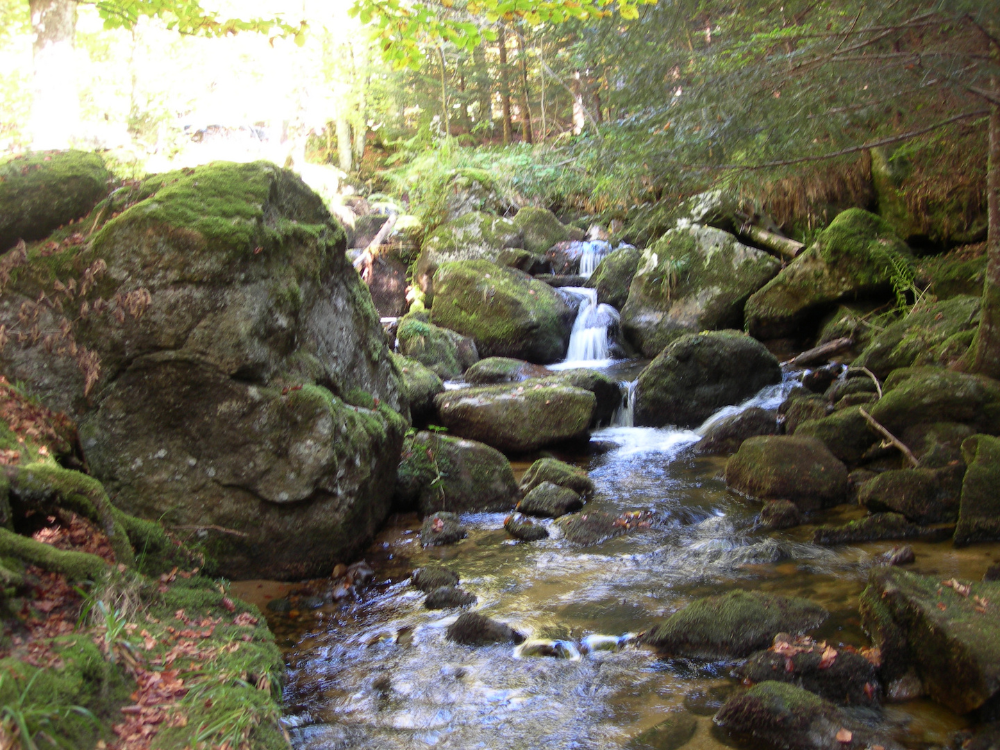 Ruisseaux d'Auvergne photo et image | paysages, lacs, rivières ...