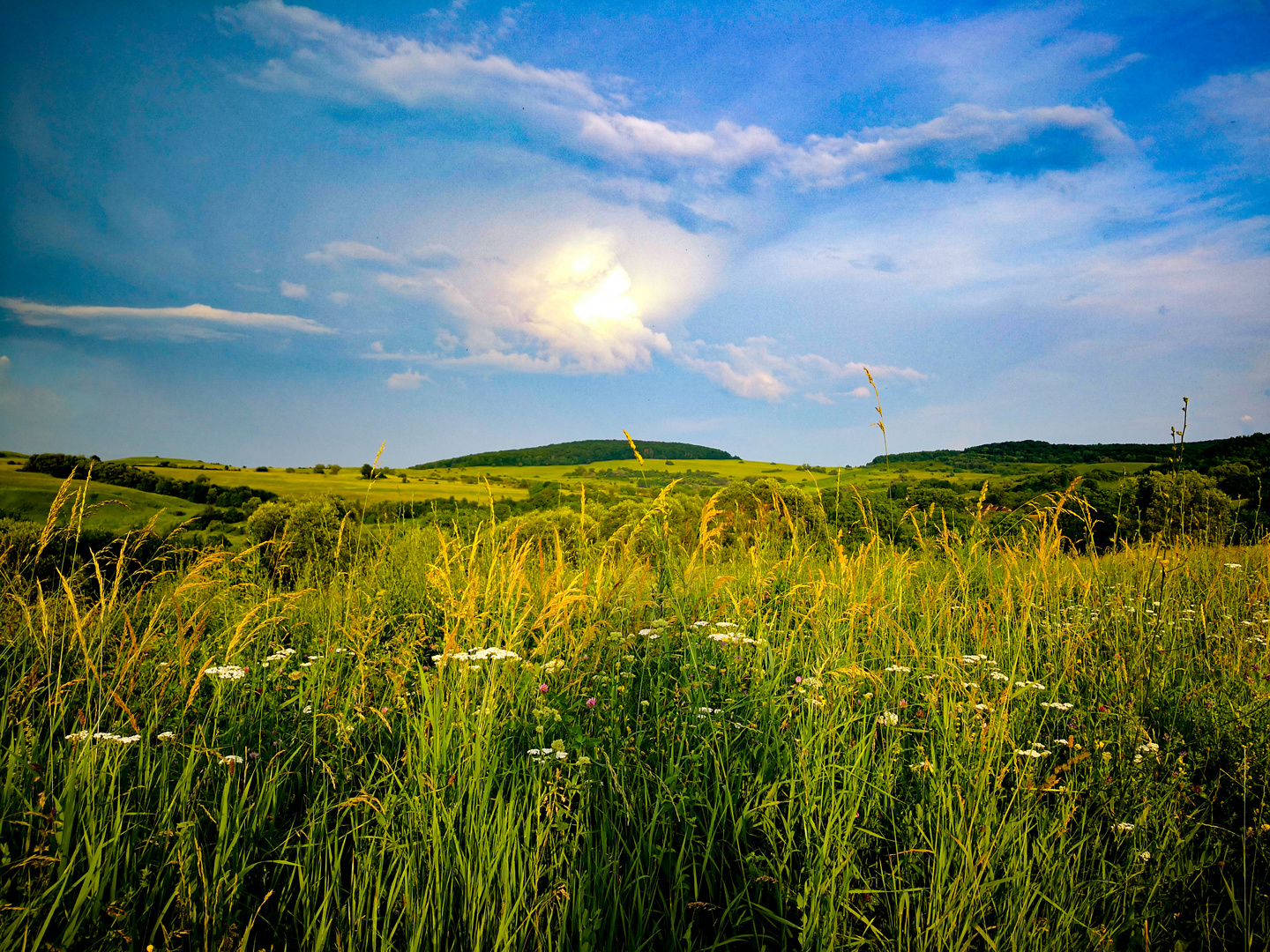 Rumänien Foto & Bild | landschaft, rückkehr der natur, fotos Bilder auf ...