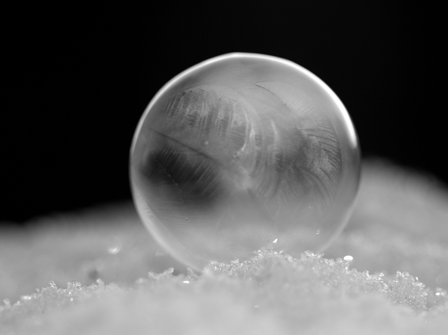 rund Foto & Bild | jahreszeiten, winter, natur Bilder auf fotocommunity