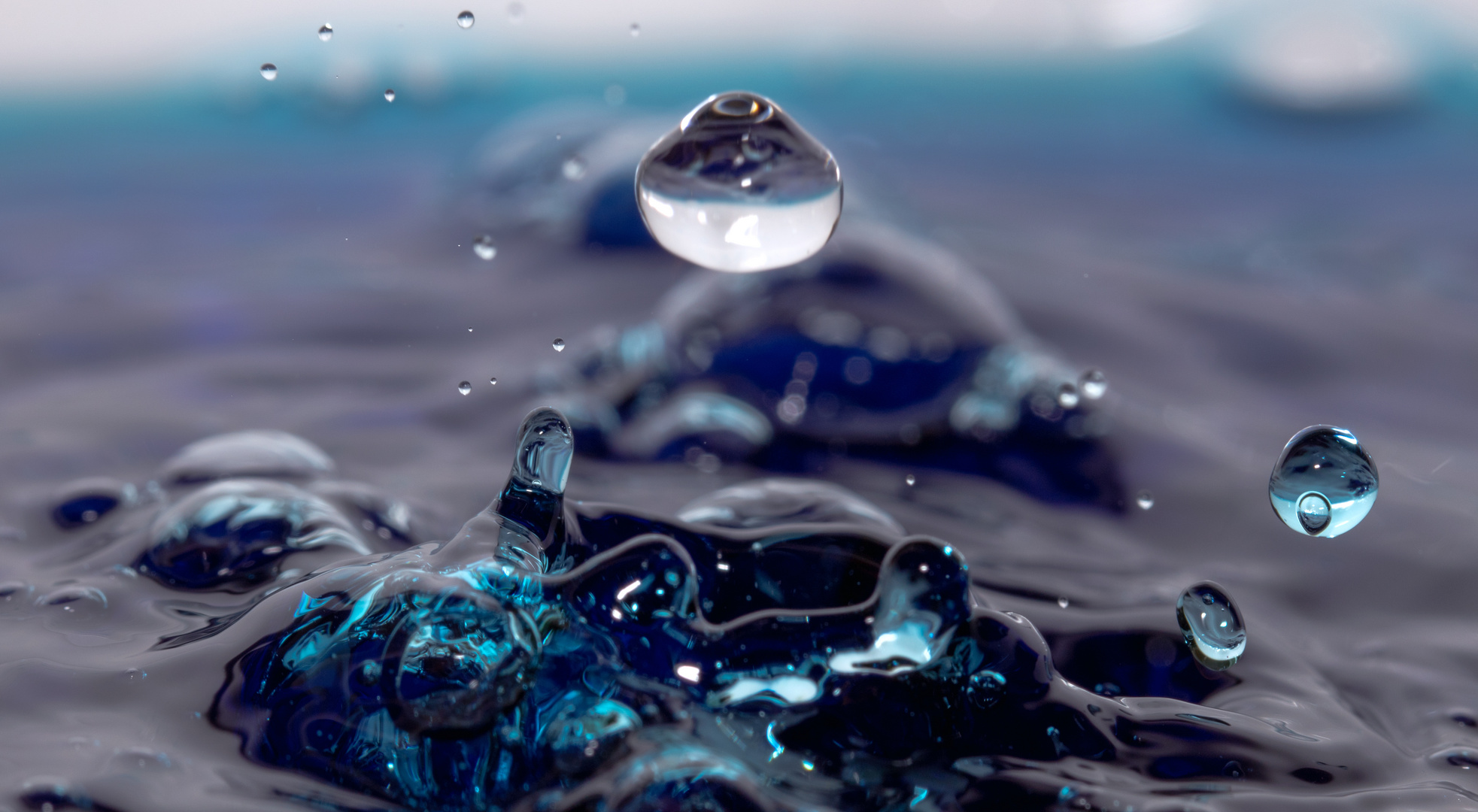 rund Foto & Bild | spezial, techniken, makrofotografie Bilder auf ...