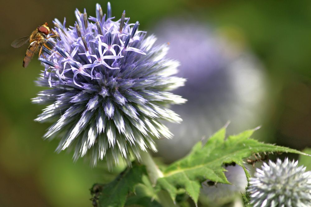 Rund Foto & Bild | dokumentation, outdoor, natur Bilder auf fotocommunity