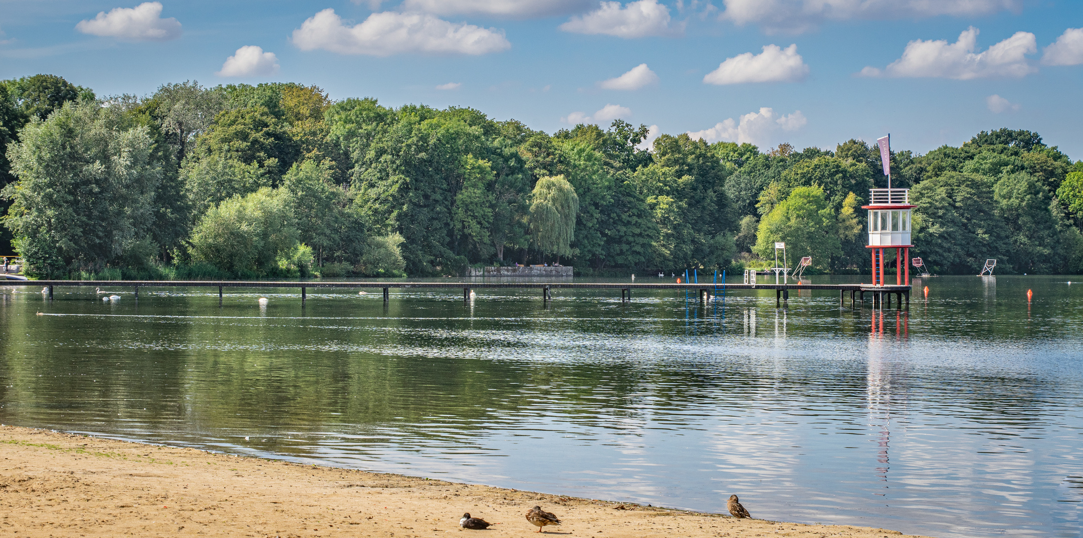 Rund um den Maschsee XIII - Hannover Foto & Bild | wasser, steg, natur ...