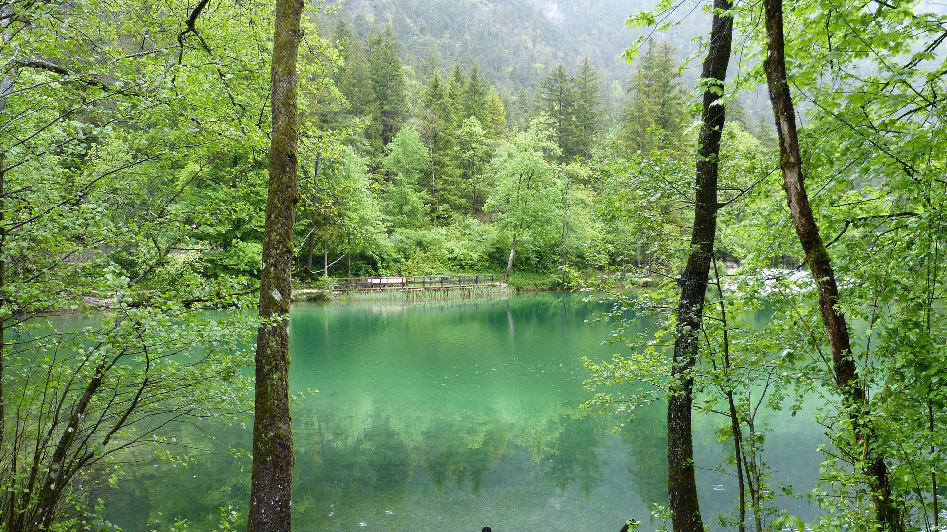 Rund um den Thumsee Foto & Bild | deutschland, europe, bayern Bilder ...