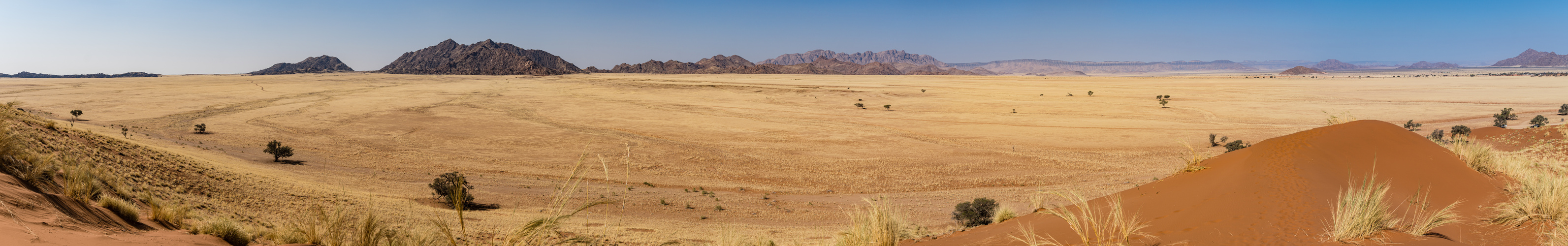 Rundblick von der Elim-Düne Foto & Bild | panorama, wüste, landschaft ...