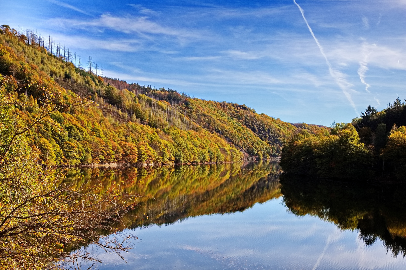Rurtalsperre Foto & Bild | spezial, dokumentation, bäume Bilder auf ...
