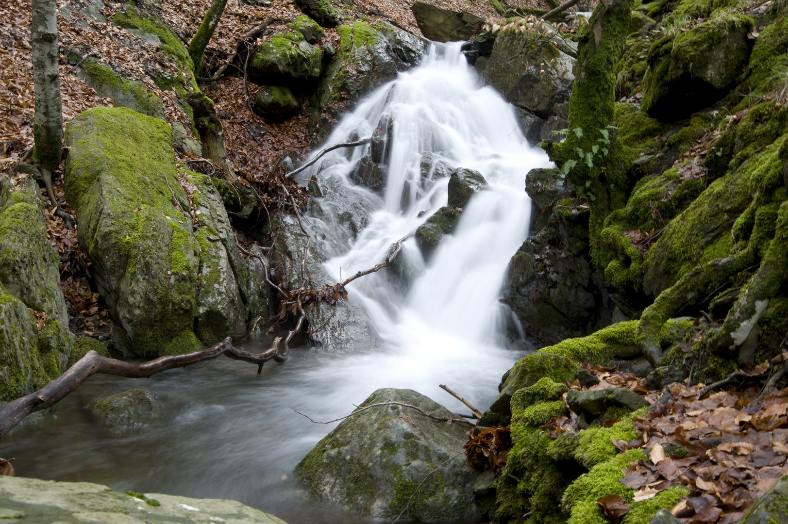 ruscello di montagna Foto % Immagini| paesaggi, laghi e fiumi, natura ...