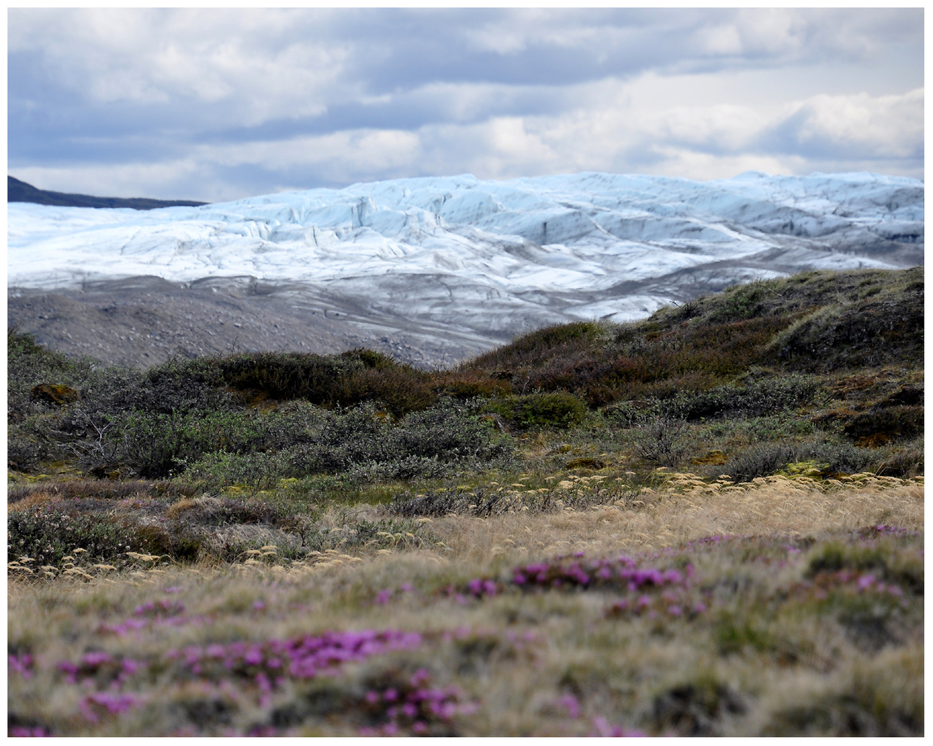 Russell Gletscher Foto & Bild | world, sommer, eis Bilder auf fotocommunity