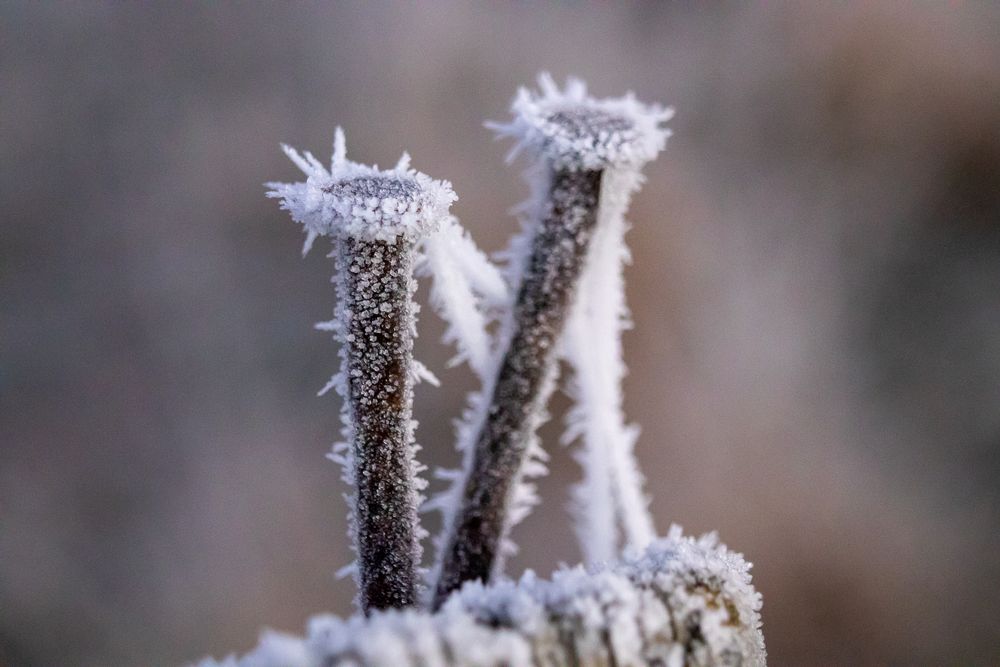 rust & ice Foto & Bild | sonstiges, jahreszeiten, winter Bilder auf ...