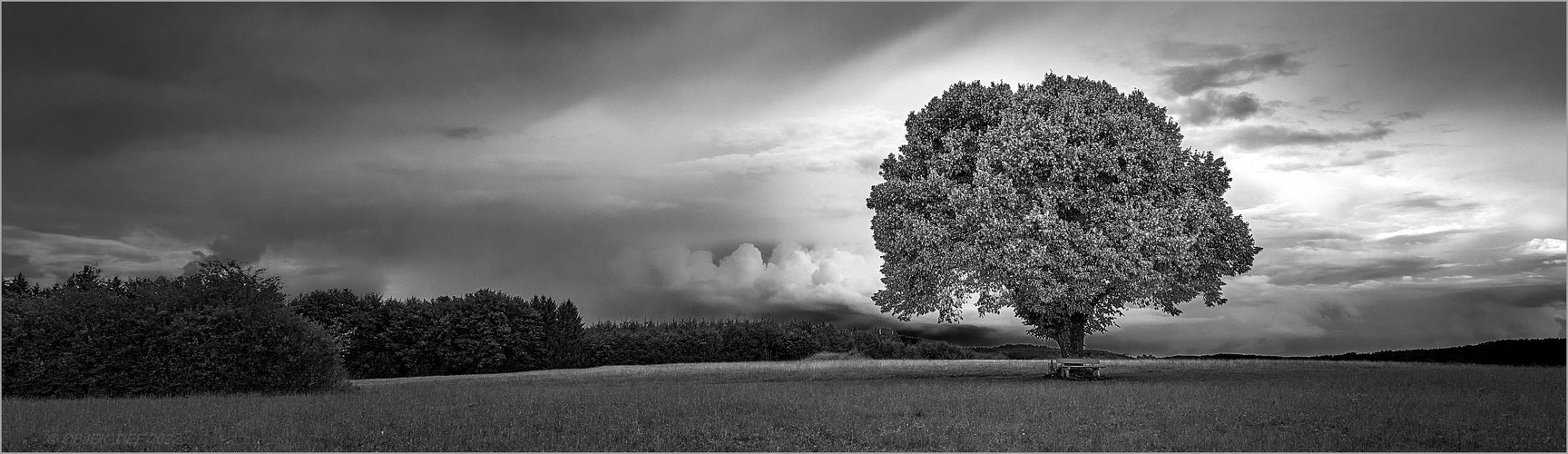 S A M S T A G N A C H M I T T A G S B A U M Foto & Bild | wolken, sw, natur Bilder auf fotocommunity