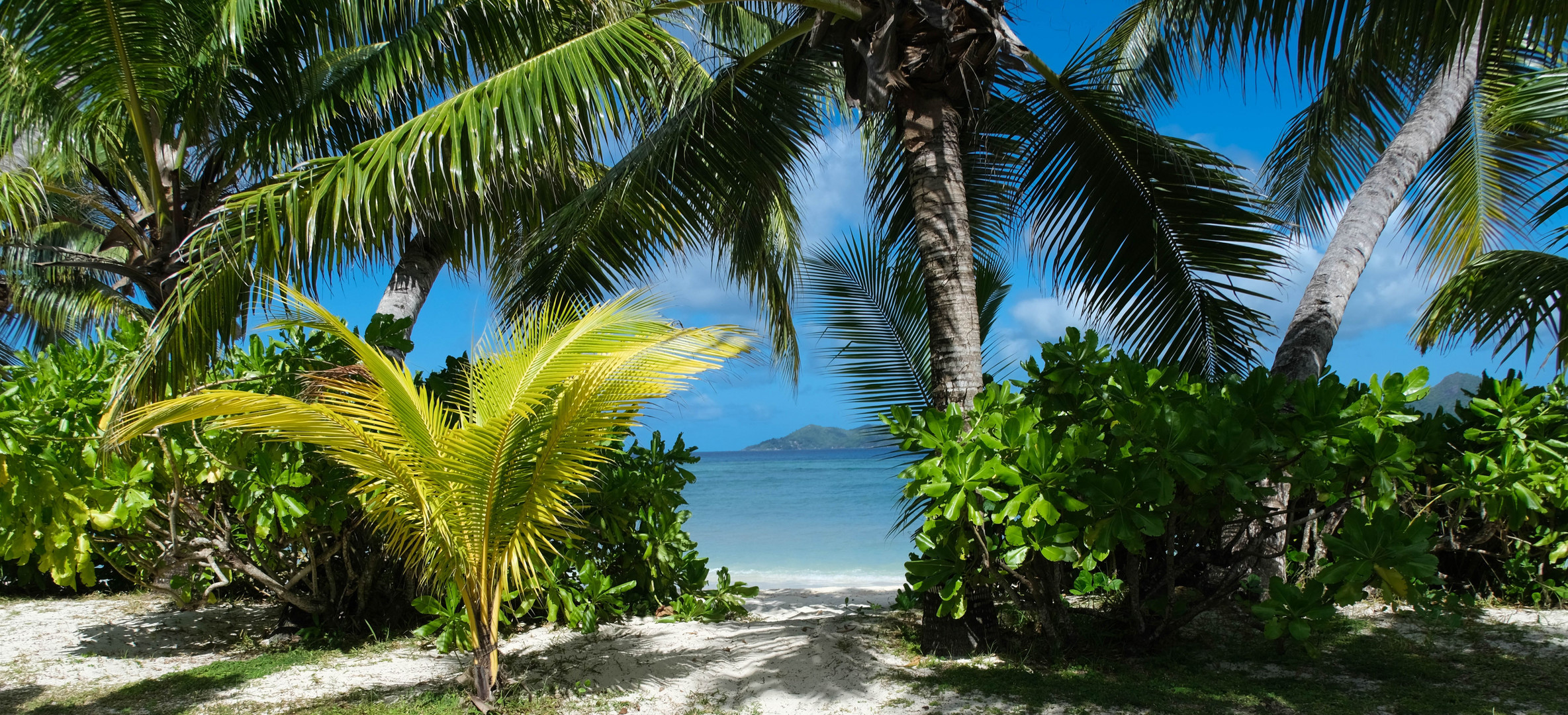 ...S E H N S U C H T... Foto & Bild | world, seychellen, africa Bilder auf fotocommunity