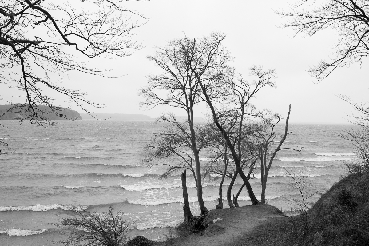 S E H N . S U C H T . N A C H . M E H R Foto & Bild | deutschland, europe, mecklenburg ...