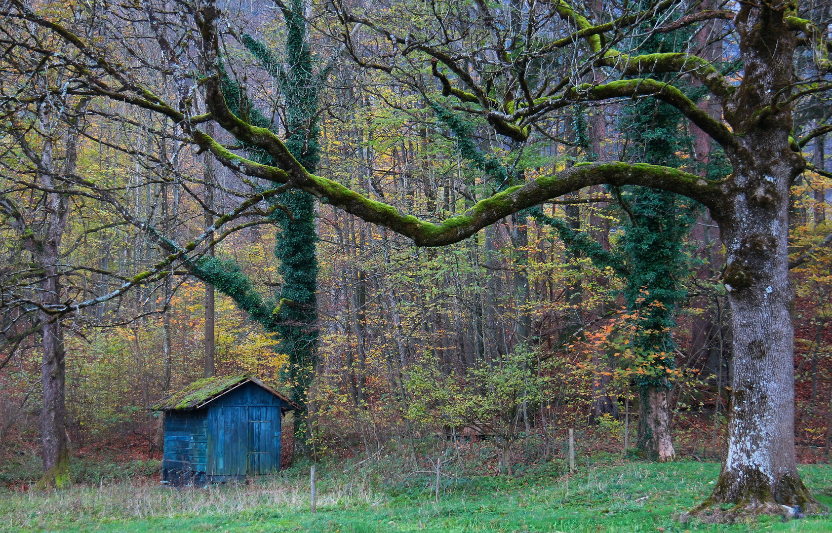 S' kloane Hütterl still im Wald Foto & Bild | architektur, landschaft, wald Bilder auf fotocommunity