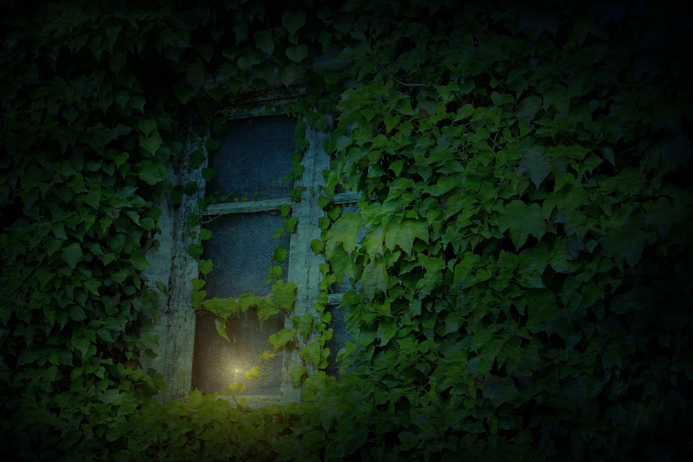 S L E E P I N G B E A U T Y Foto Bild World Digiart s-l-e-e-p-i-n-g-b-e-a-u-t-y-foto-bild-world-digiart