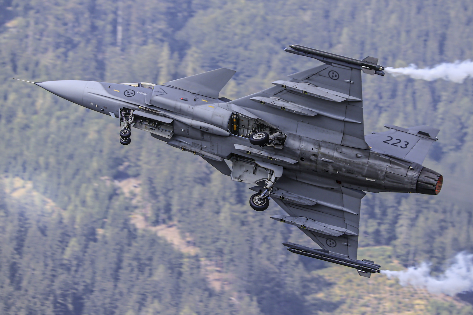 SAAB JAS 39 Gripen aus Schweden Foto & Bild | air show, technik ...