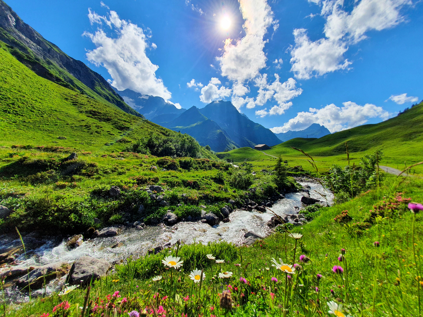 Saftige Wiesen Foto & Bild | landschaft, berge, sommer Bilder auf ...