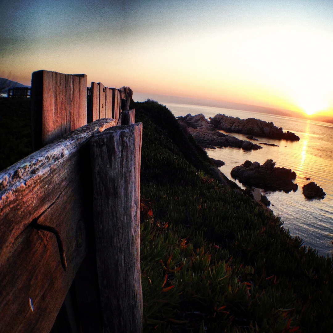 sagone photo et image | paysages, mers et océans, plantes Images ...