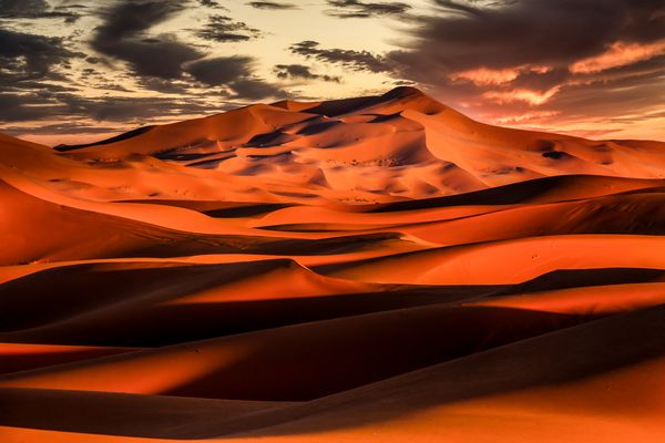 Western Sahara Bilder & Fotos