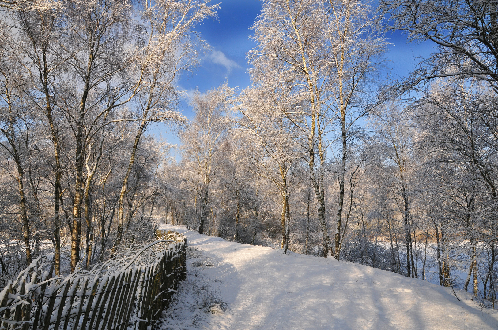 Sahara Lommel Foto & Bild | landscape, seasons, winter Bilder auf ...
