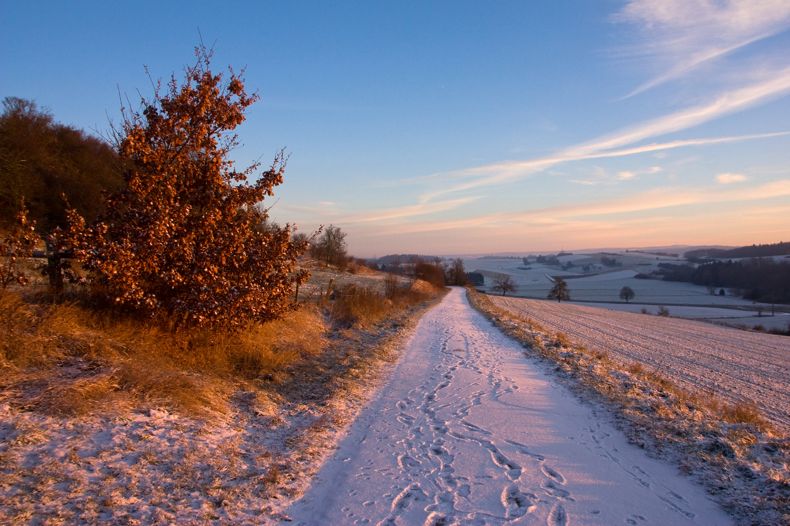 Samstag in der Früh - kalt und sehr schön Foto & Bild | jahreszeiten ...
